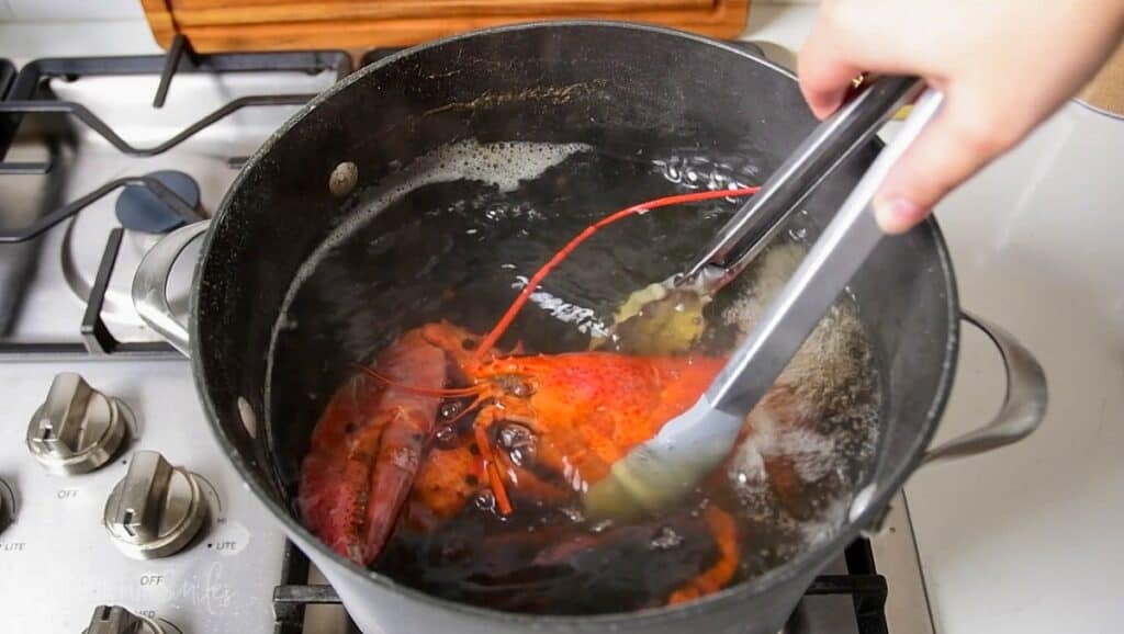 How To Cook Lobster